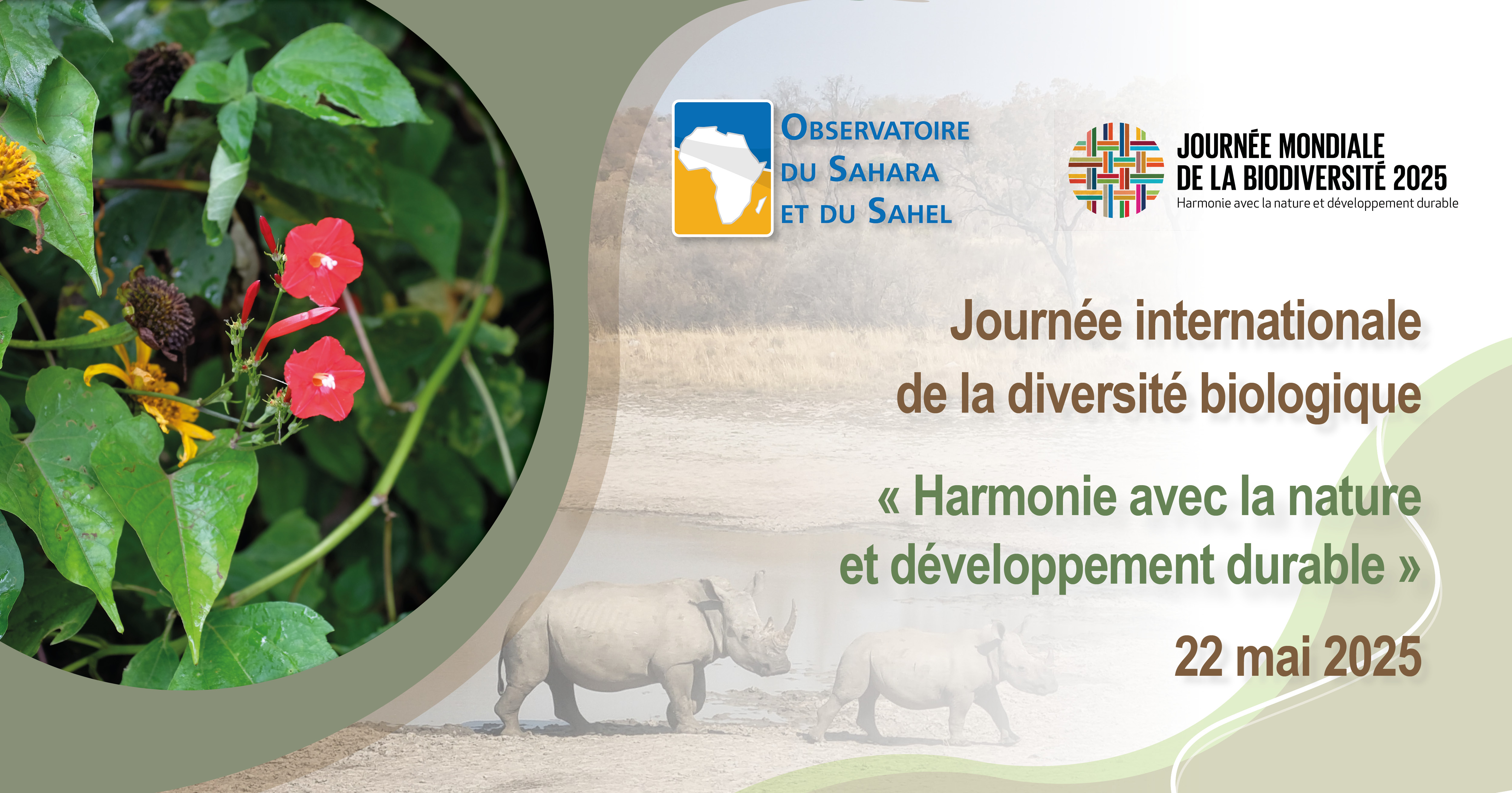 Journée internationale de la diversité biologique - 22 mai - « Harmonie ...